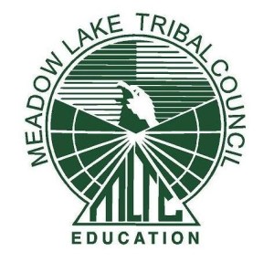 Interactive Lesson Supports - MLTC Education